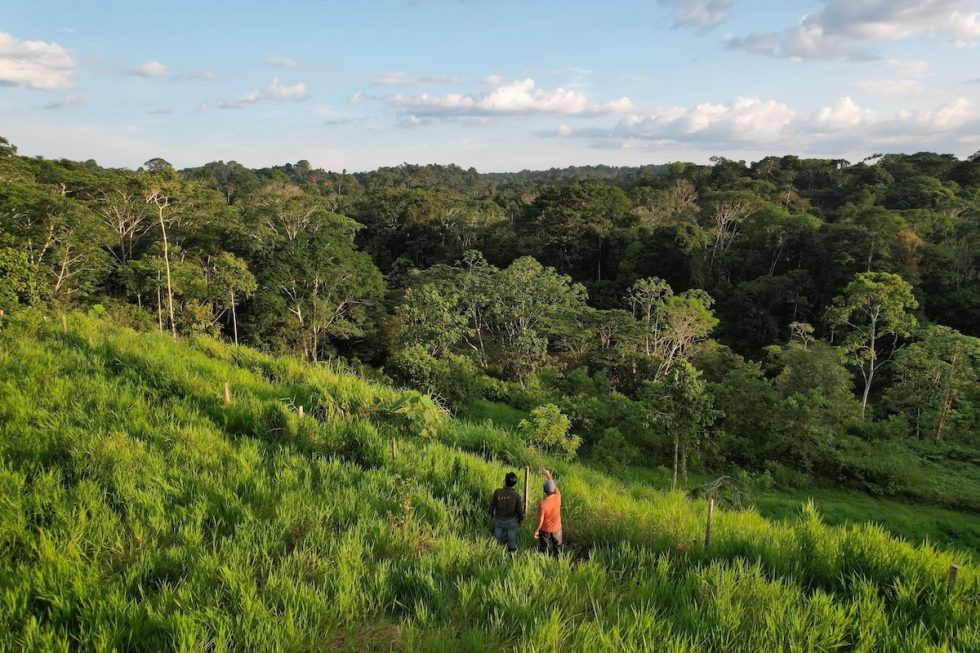 Mossy Earth: turning everyday people into rewilders | The Global ...