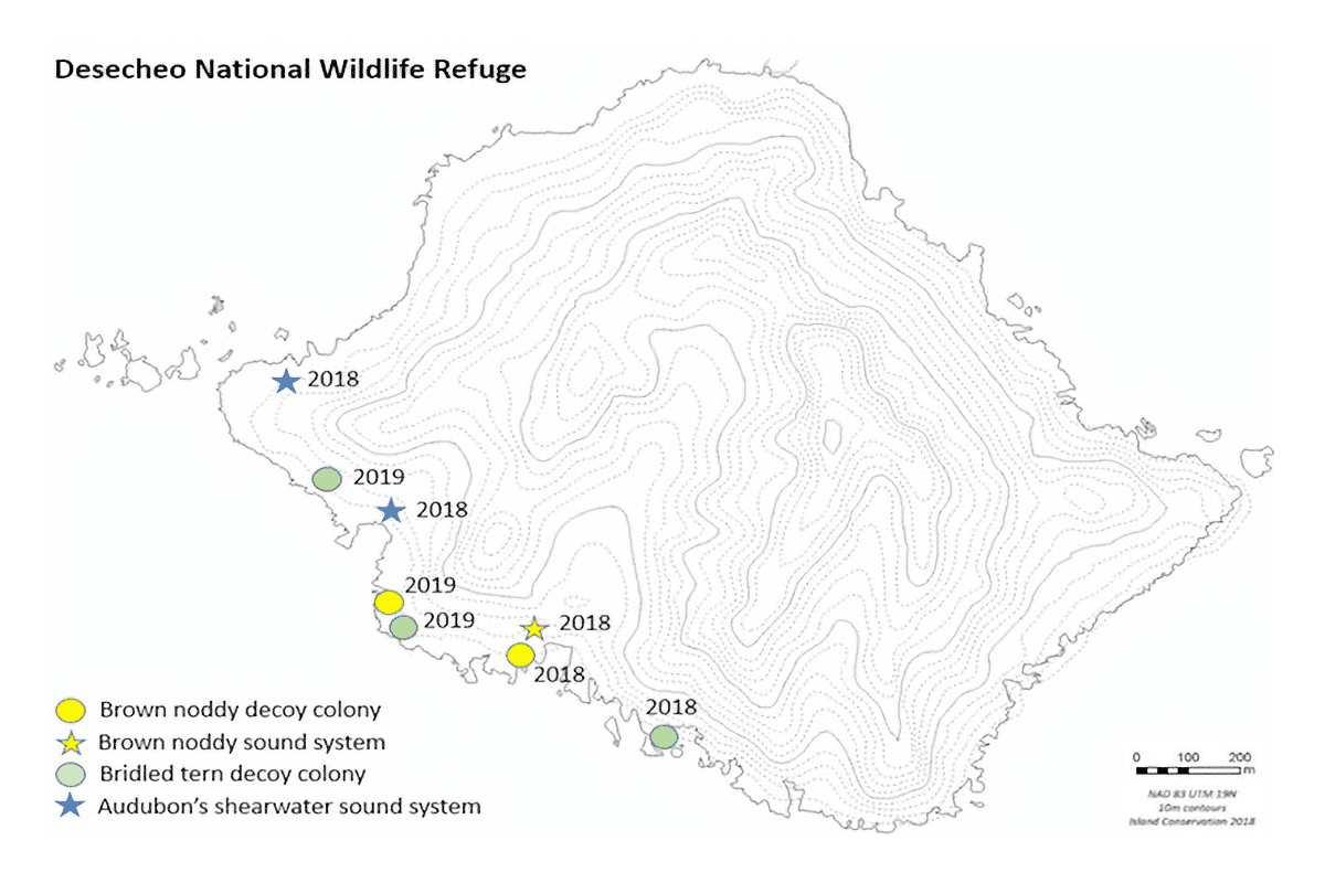 The use of social attraction techniques to restore seabird colonies on ...