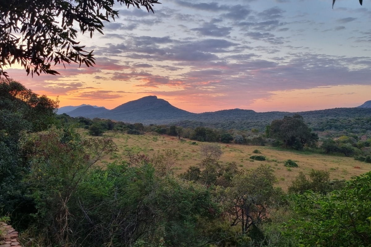 Endangered Wildlife Trust: Restoration and protection for shared ...