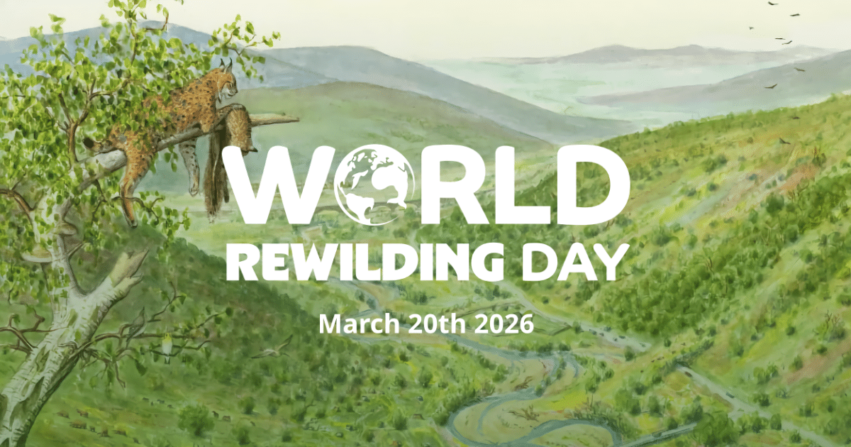 World Rewilding Day 2026 - The Global Rewilding Alliance