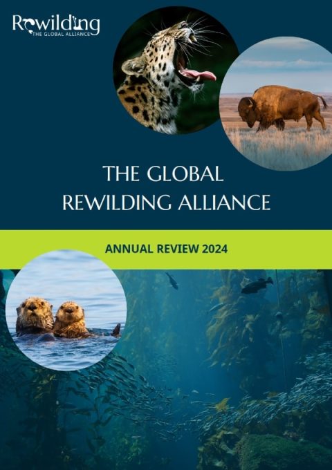 The Global Rewilding Alliance: Annual Report 2024 - The Global ...