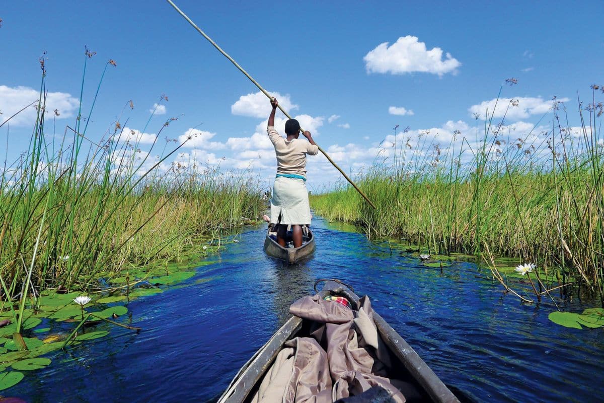 The Wetlands Action Plan launches in Africa to put wild animals at the ...